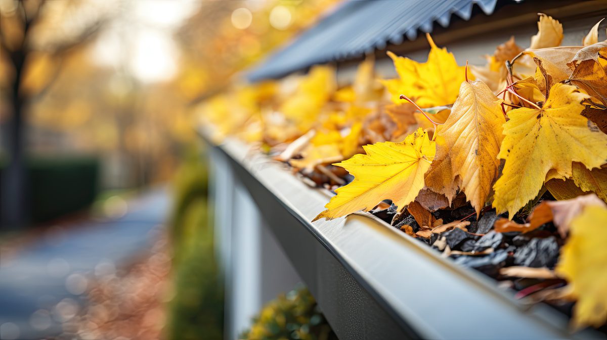 Roofing Tips: Preparing Your Home for Fall - Taves Roofing